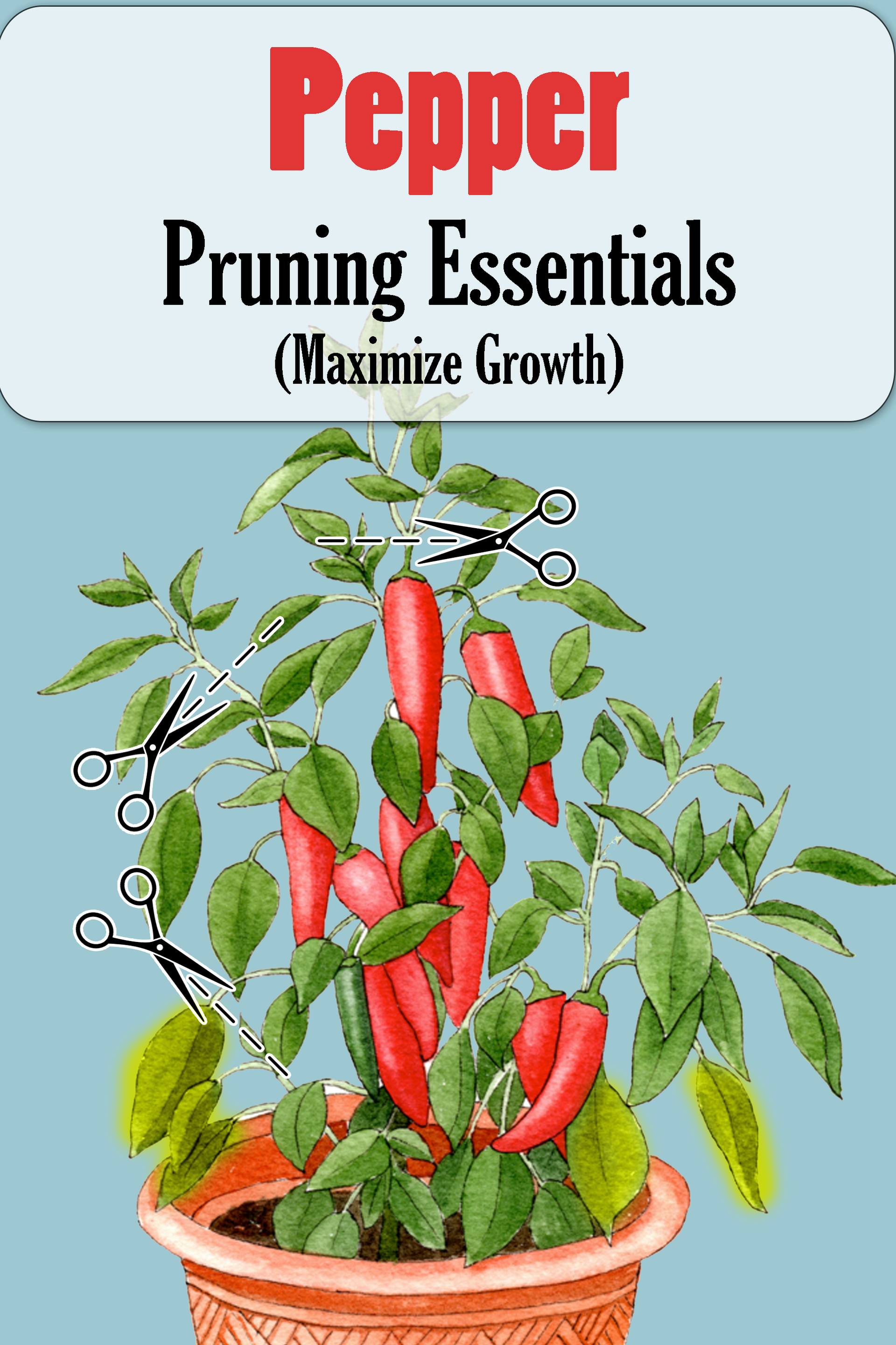 Pruning Young Pepper Plants