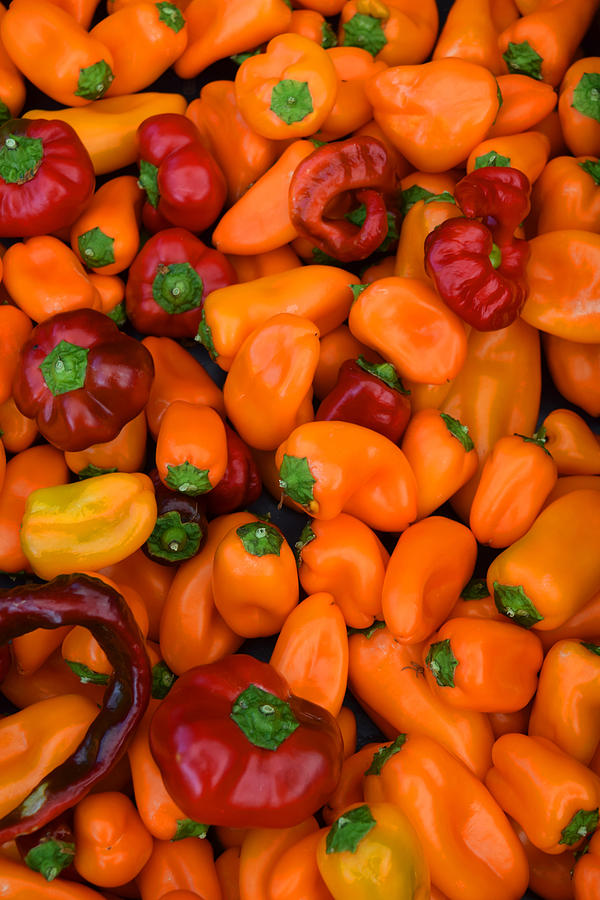 Red Hot Seeds For Planting in the Garden