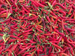 Mild Peppers – Red Hot Seeds